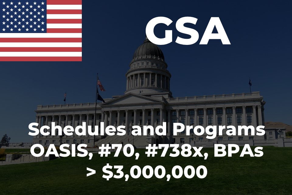 GSA Schedules and Procurement Programs - OASIS, #70, #738x, BPAs - BizCusp